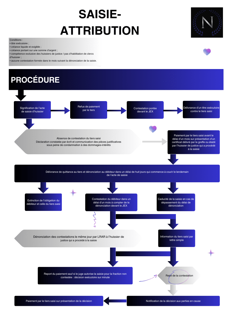 Saisie attribution schéma - Miguel NICOLAS